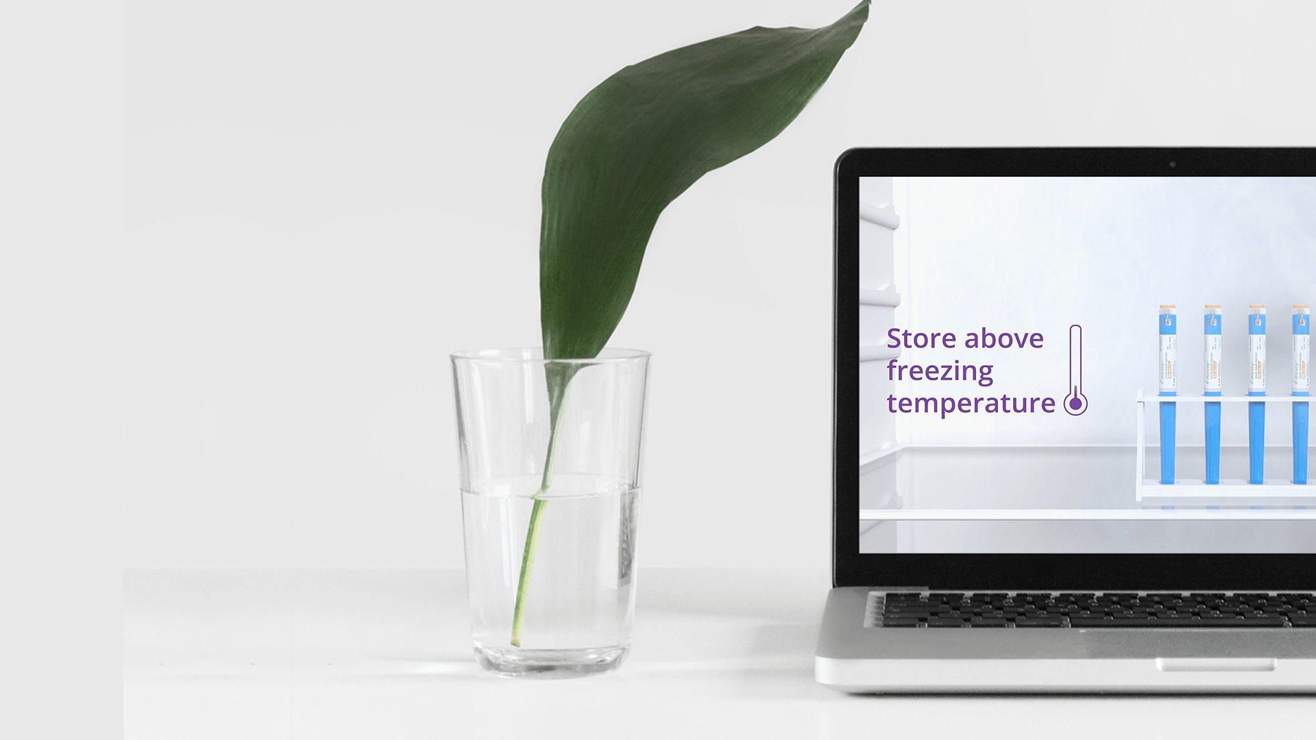 Kirsty 3D Instructions for Use (IFU) Video | Skepper Creative Agency